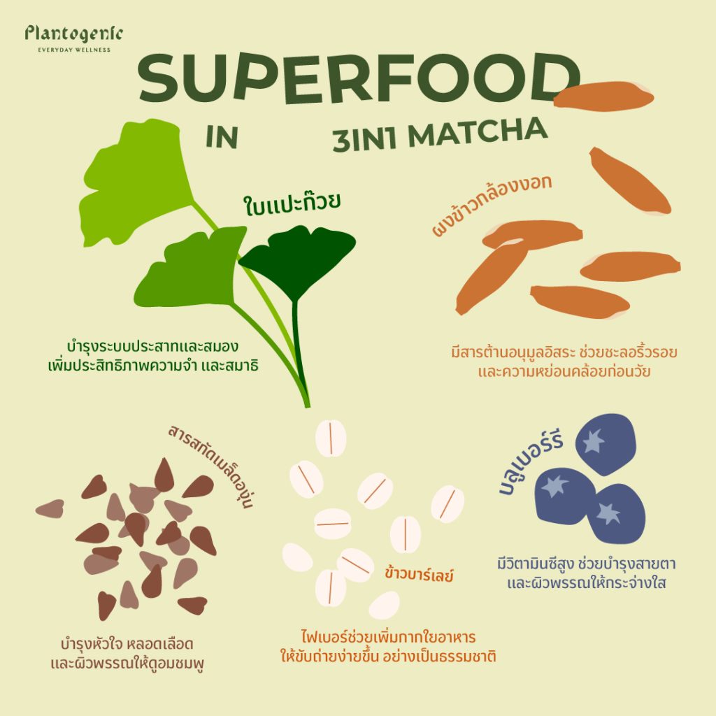 3in1 Superfood Matcha ชาเขียวพร้อมชง – PLANTOGENIC