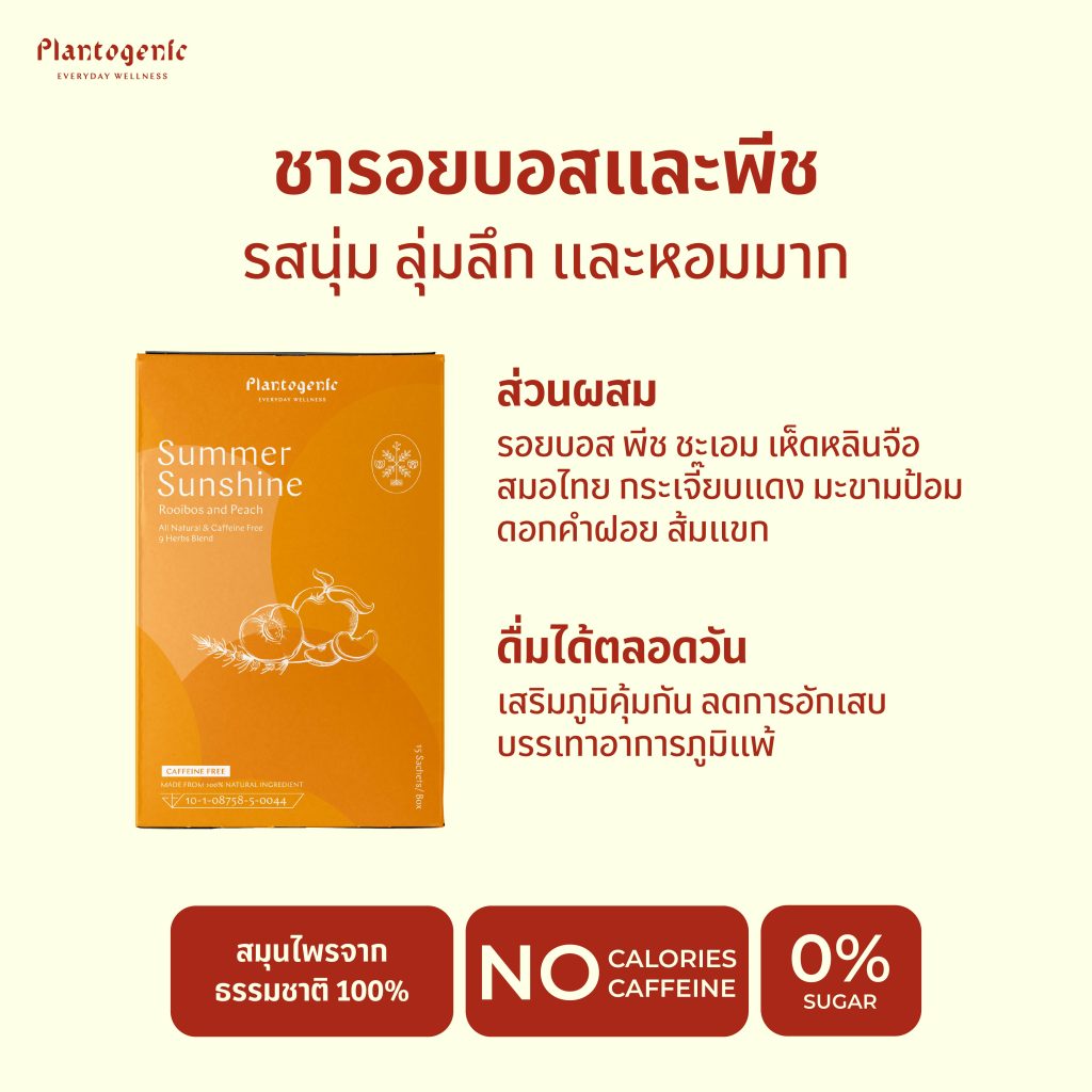 Rainbow Herbal Tea รวมมิตรชา 6 สี ไม่มีคาเฟอีน – PLANTOGENIC